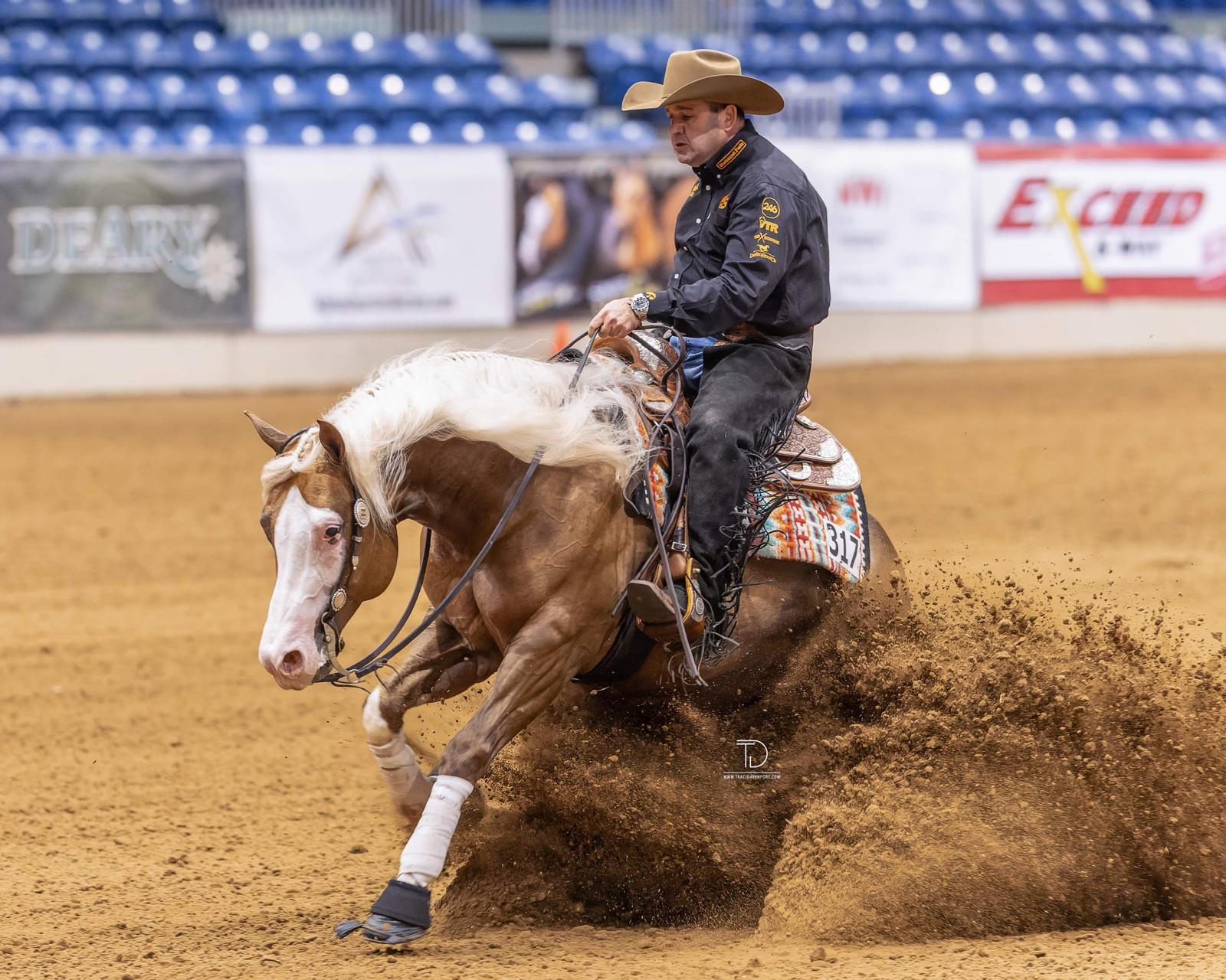 Maior campeão mundial de Rédeas traz curso inédito para Mato Grosso do ...